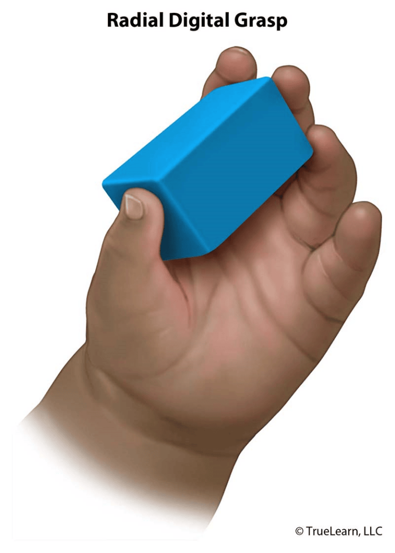 Free COTA®-Style Practice Question